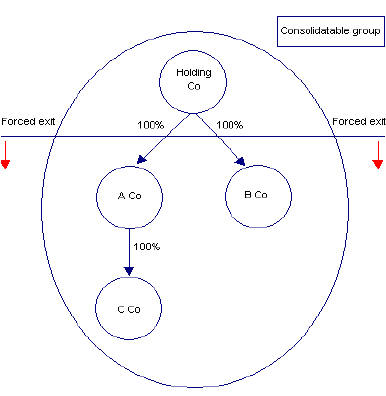 Forming a Tax Consolidated Group - CapitalQ